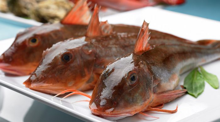 Assortiment - FishPartners