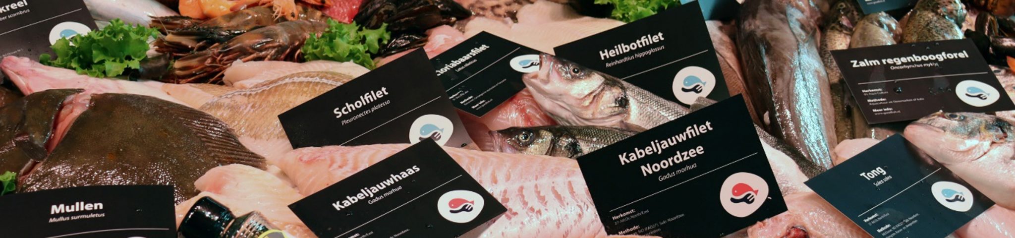 Der Good Fish Foundation - FishPartners